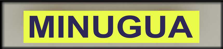 Barra misión MINUGUA, Airemilitar